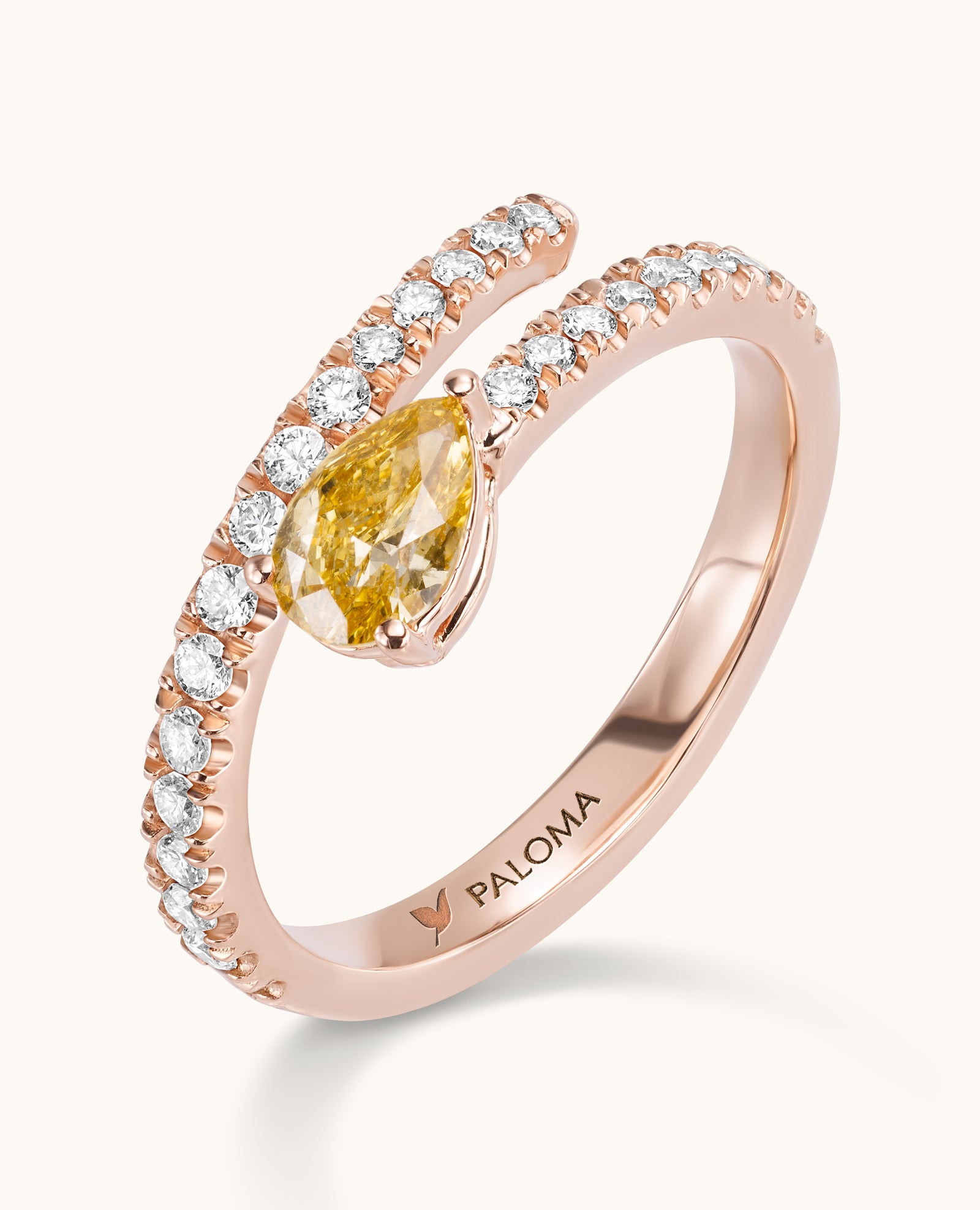 Paloma - Everything You Fancy